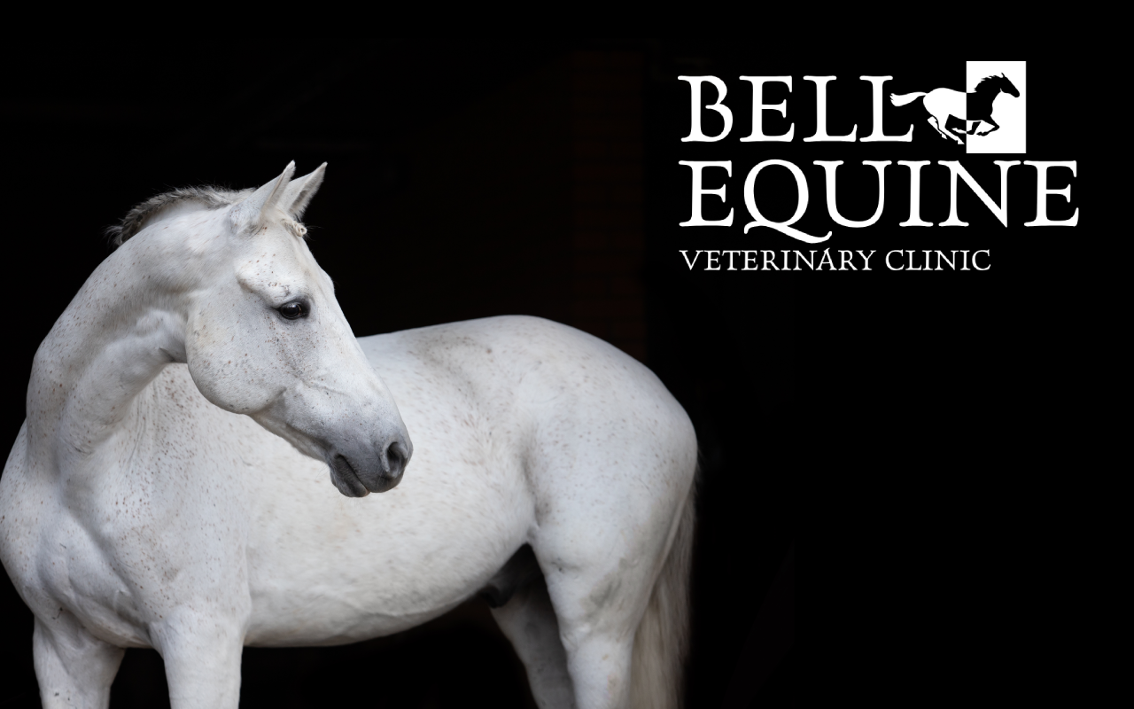 Tim Mair is honoured in life-time achievement award | Bell Equine